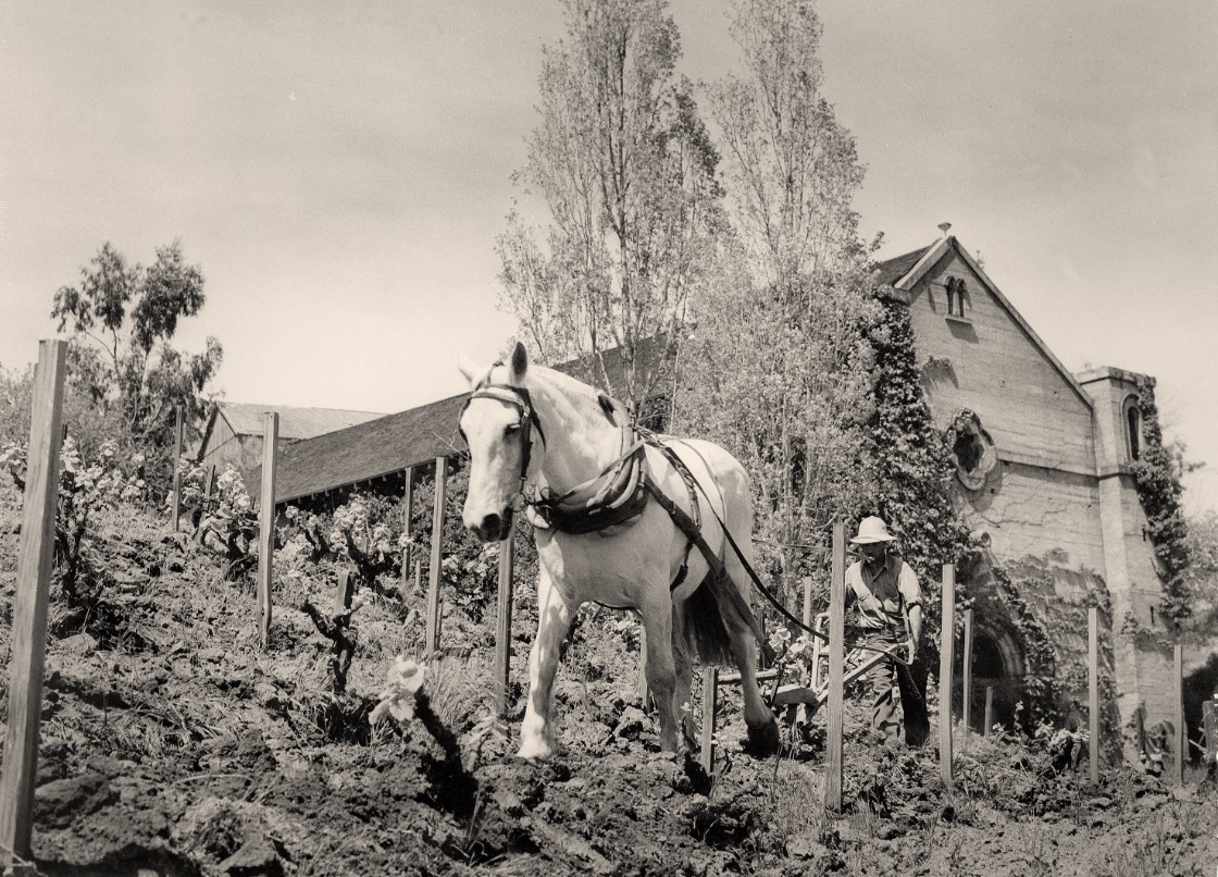 Story - Martin Ray Vineyards & Winery