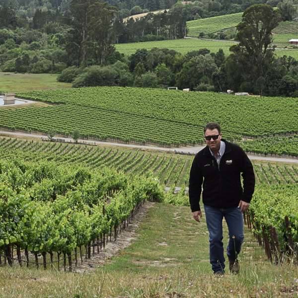 Concrete Chardonnay: Concrete Eggs, The Dodo Bird, and The Vortex ...