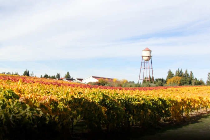 Events - Martin Ray Vineyards & Winery